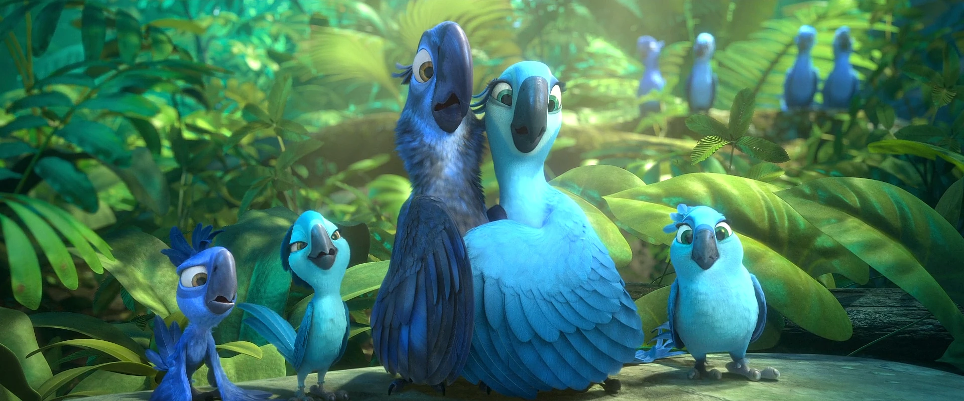 Image - Blu 100-Jewel 100 36.jpg | Rio Wiki | FANDOM powered by Wikia