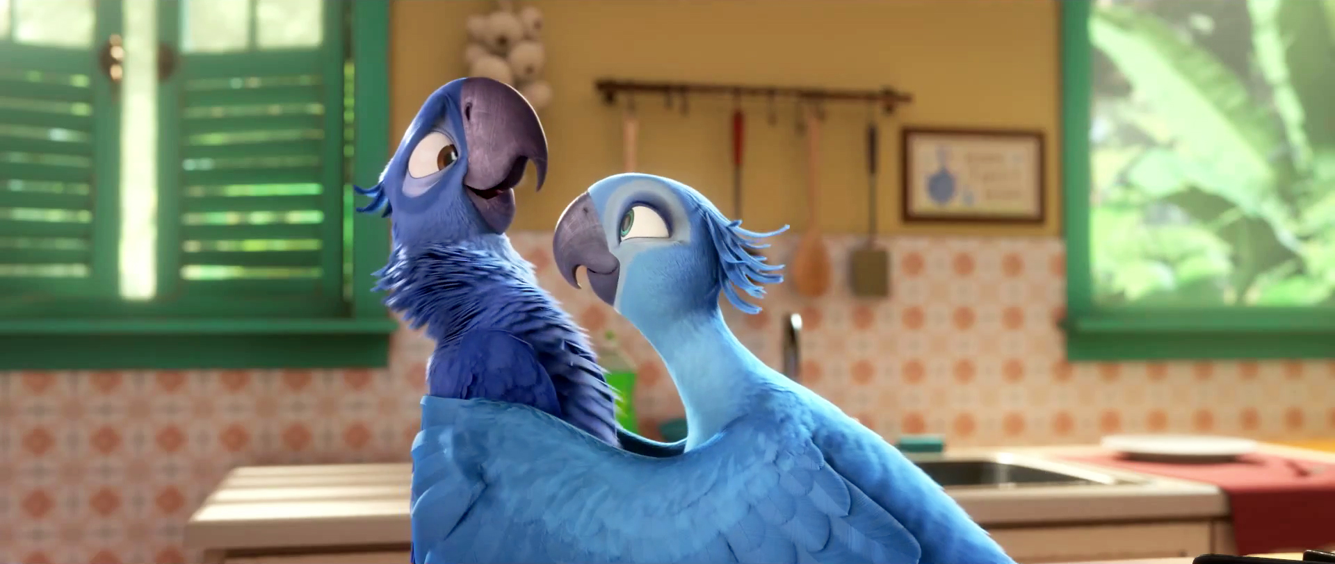 Obraz Blu And Jewel News 2 Blu Julia Scena Rio 2 Rio Wiki Fandom Powered By Wikia