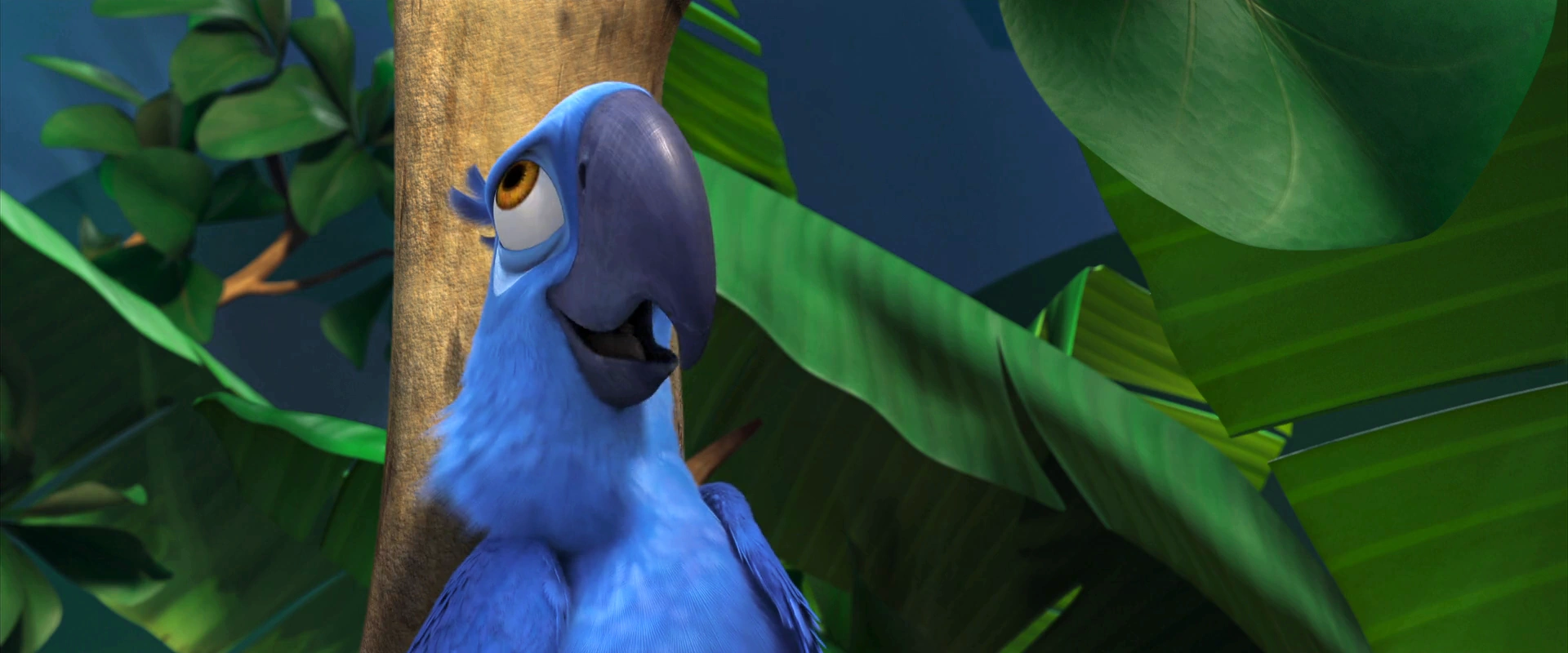 Image - Rio (movie) wallpaper - Blu 1.png | Rio Wiki | FANDOM powered ...