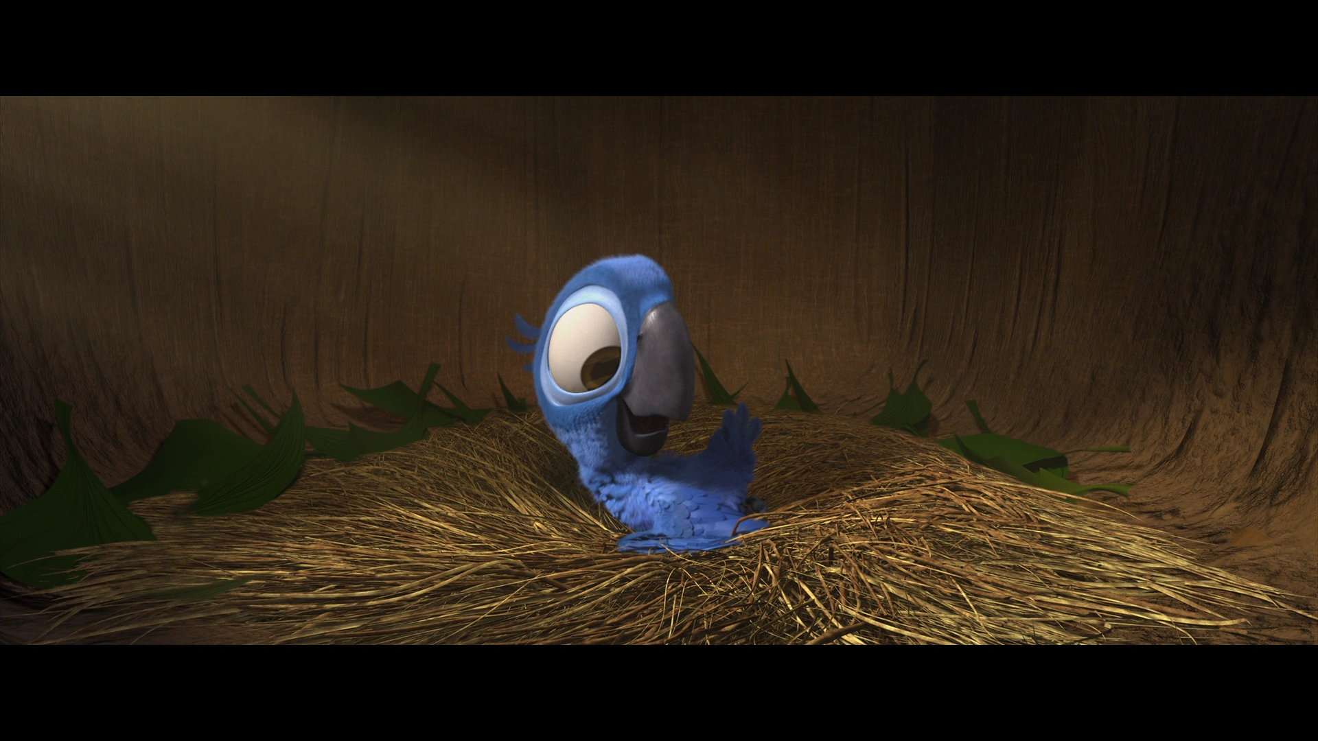 Obraz - Blu 7.png | Rio Wiki | FANDOM powered by Wikia