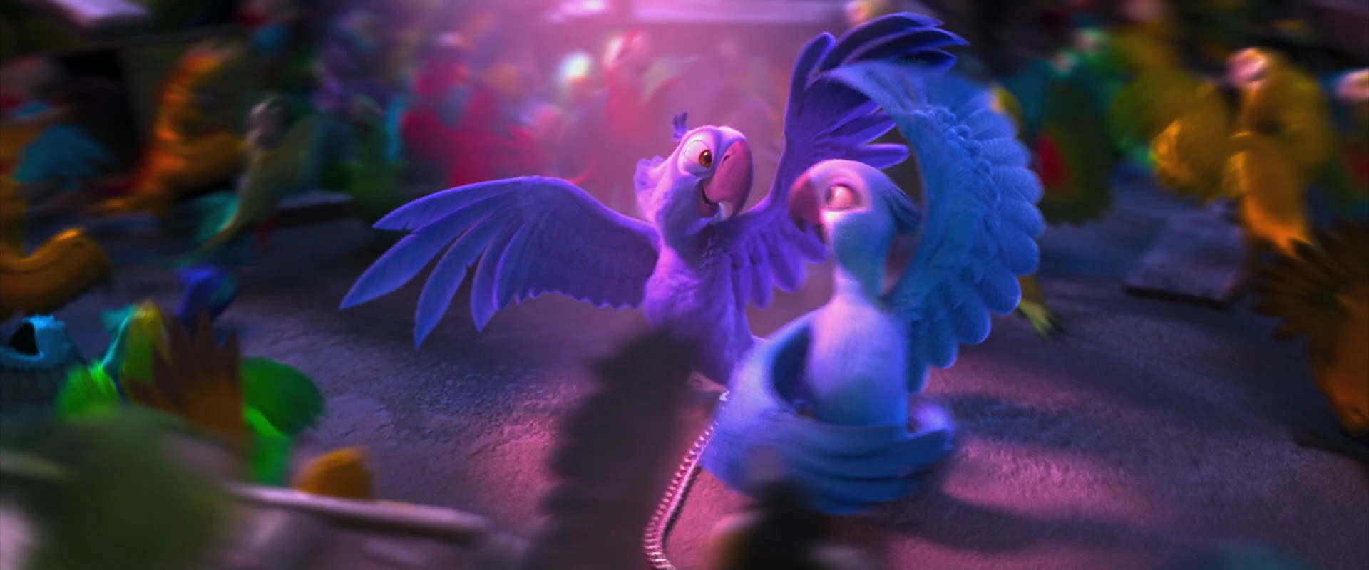 Image - Dancing.jpg | Rio Wiki | FANDOM powered by Wikia