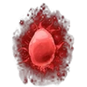 Dragon Egg Identification | Dragons: Rise of Berk Wiki | Fandom