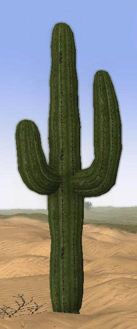 Cactus | Rising World Wiki | FANDOM powered by Wikia