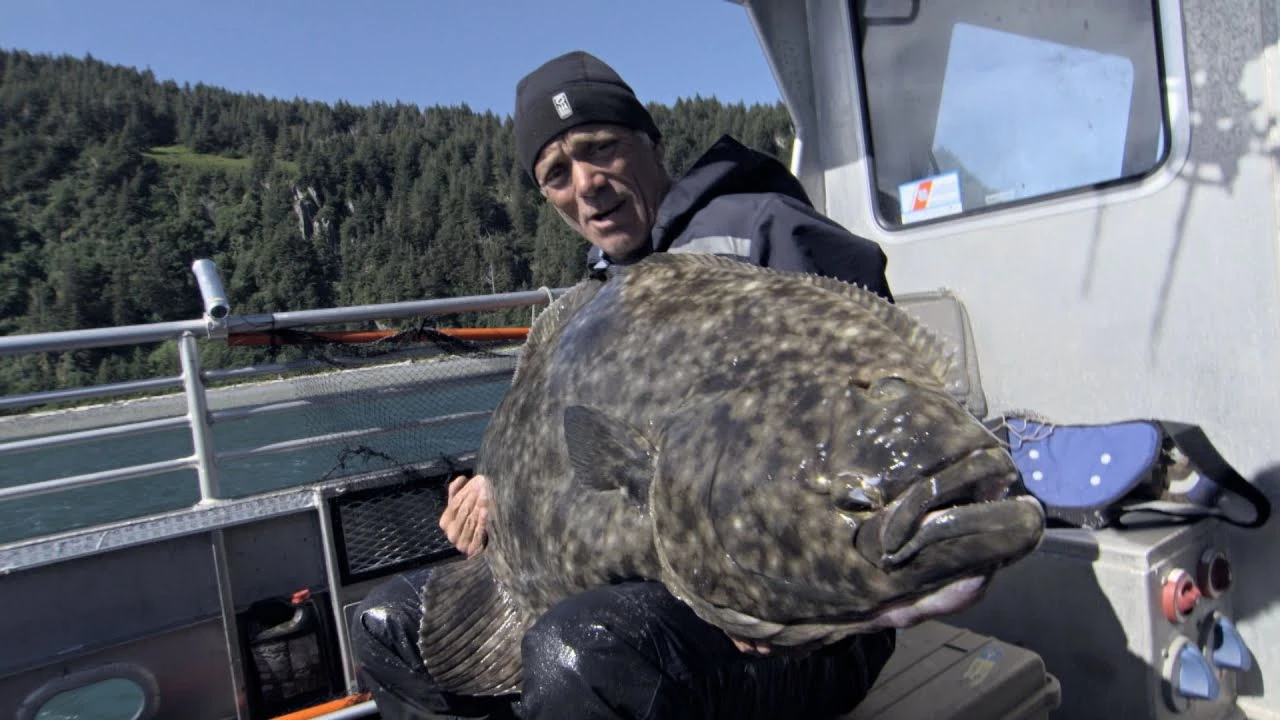 Pacific Halibut | River Monsters Wiki | Fandom
