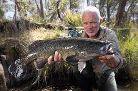Murray Cod | River Monsters Wiki | Fandom