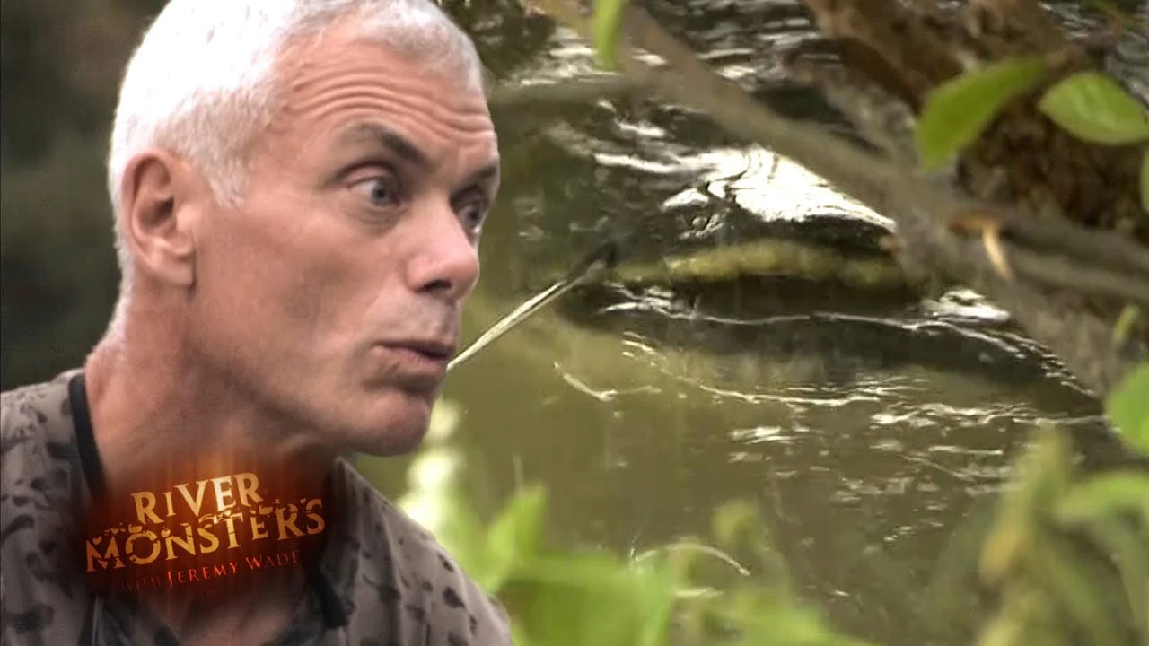 Sareng Catfish | River Monsters Wiki | FANDOM powered by Wikia