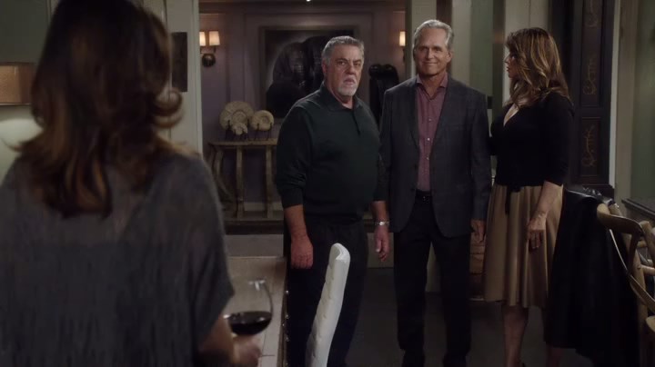 Ron Hanson The Rizzoli And Isles Series Wiki Fandom Powered By Wikia
