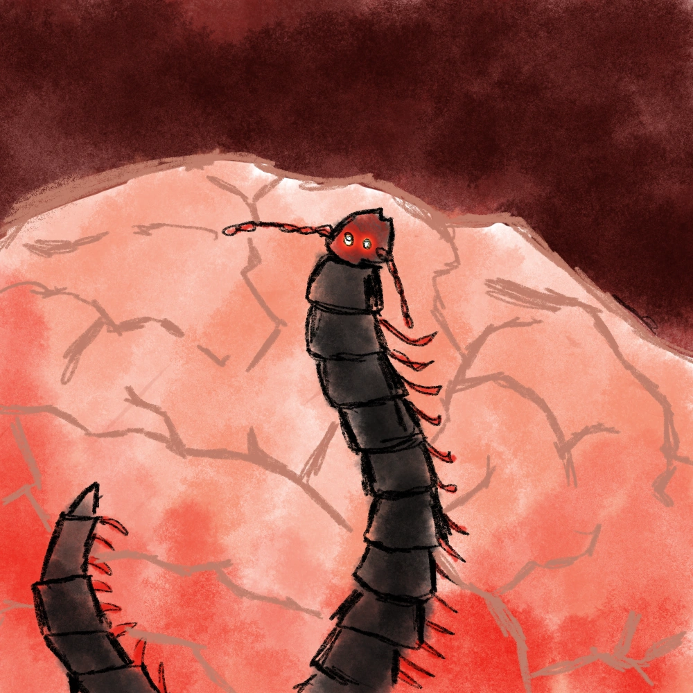 Mukade | RkadeSouperSweetSquad Wiki | Fandom