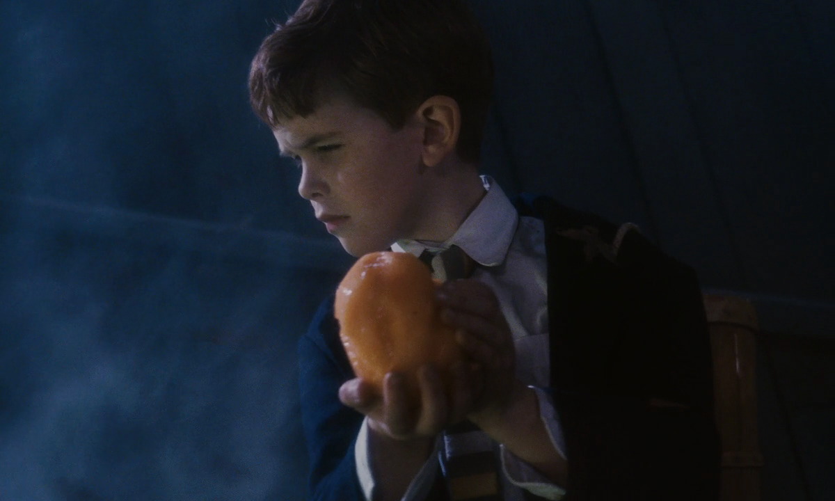 James Henry Trotter | Roald Dahl Wiki | FANDOM powered by Wikia James Henry Trotter | Roald Dahl Wiki | FANDOM powered by Wikia