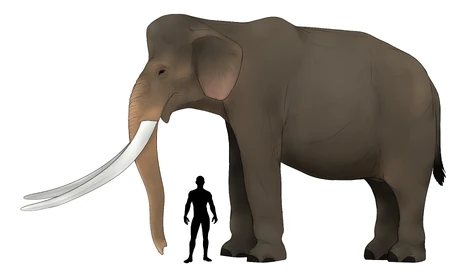Palaeoloxodon namadicus | ROBLOX Cenozoic Survival Wiki | Fandom