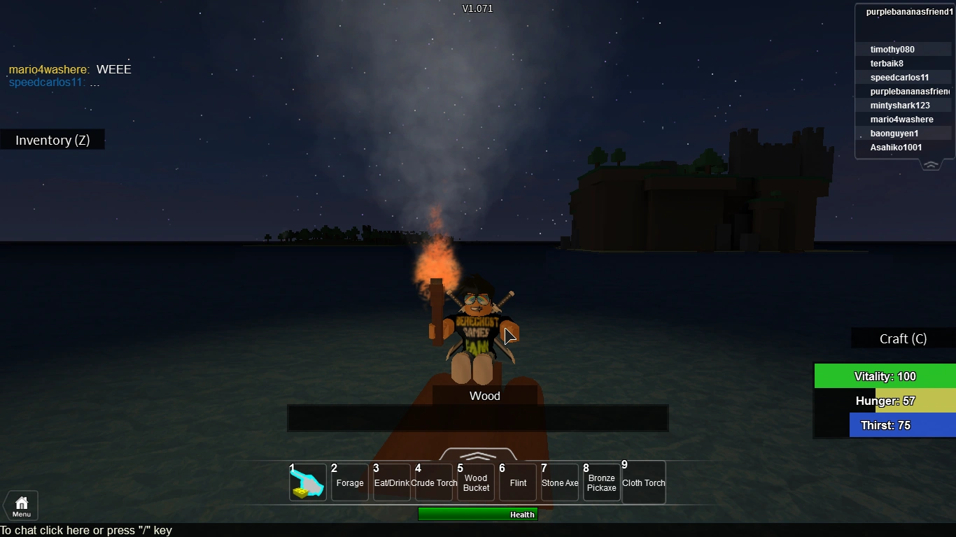 Cloth Torch | Roblox Survival Beginnings Wiki | Fandom