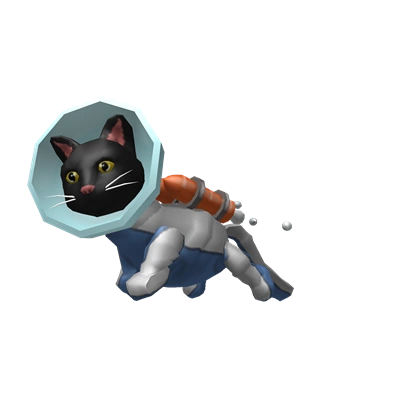 Rocket Cat | Roblox Wikia | Fandom