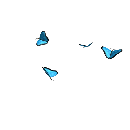 Blue Butterflies | Roblox Wikia | Fandom