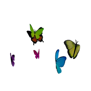 Kaleidoscope of Butterflies | Roblox Wikia | Fandom