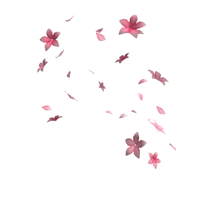 Falling Blossoms | Roblox Wikia | Fandom