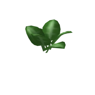 Vegetable Hat | Roblox Wikia | Fandom