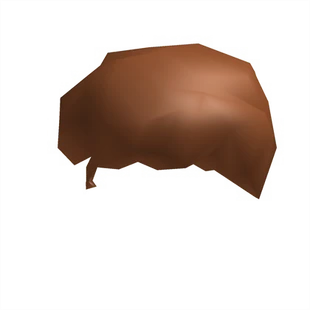 Normal Hair | Roblox Wikia | FANDOM powered by Wikia