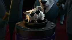 Angus Scattergood | Rock Dog Wiki | Fandom