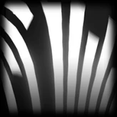 Decal/Black market | Rocket League Wiki | Fandom