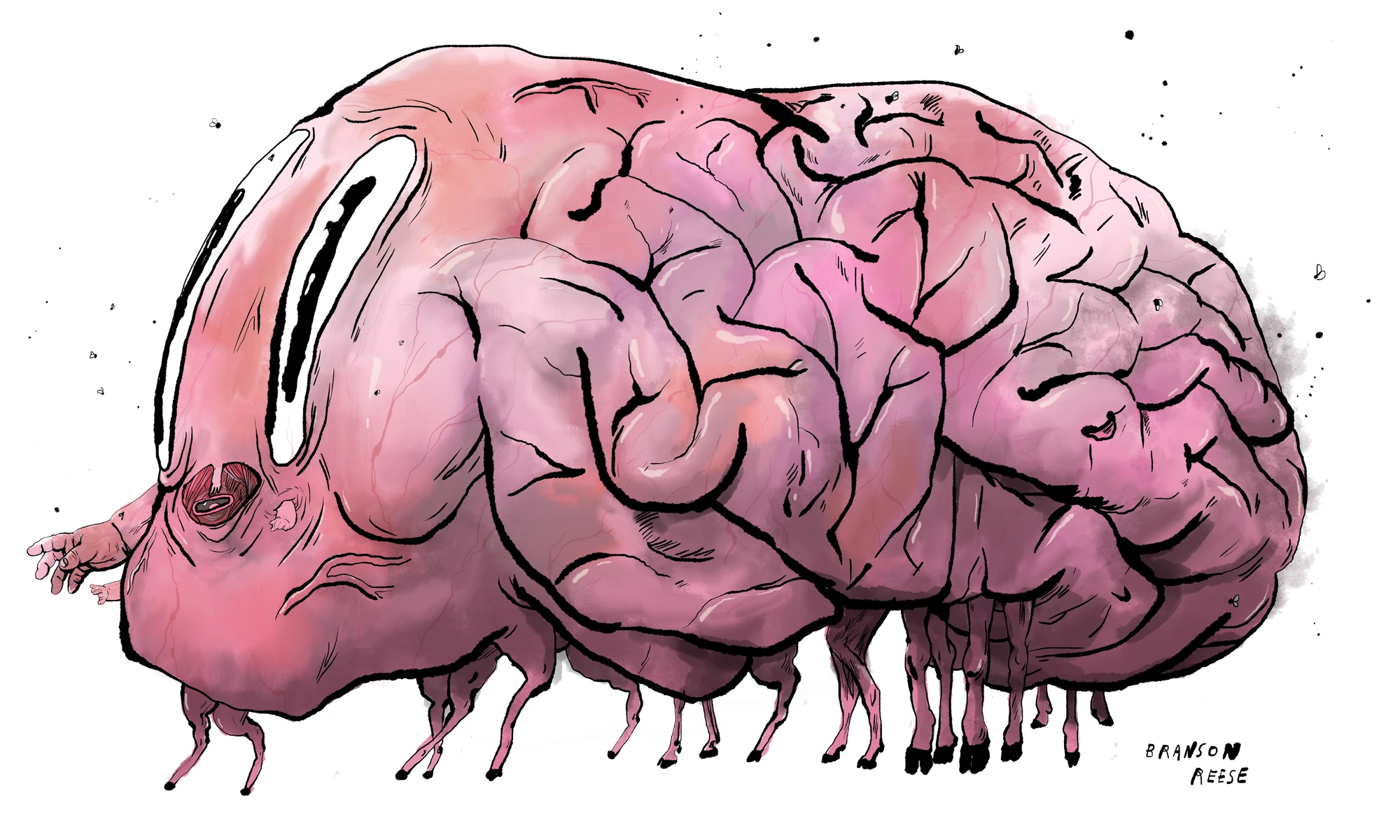 Kebin | Rude Tales Of Magic Wiki | Fandom