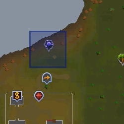 Vibrant wisp | RuneScape Wiki | Fandom