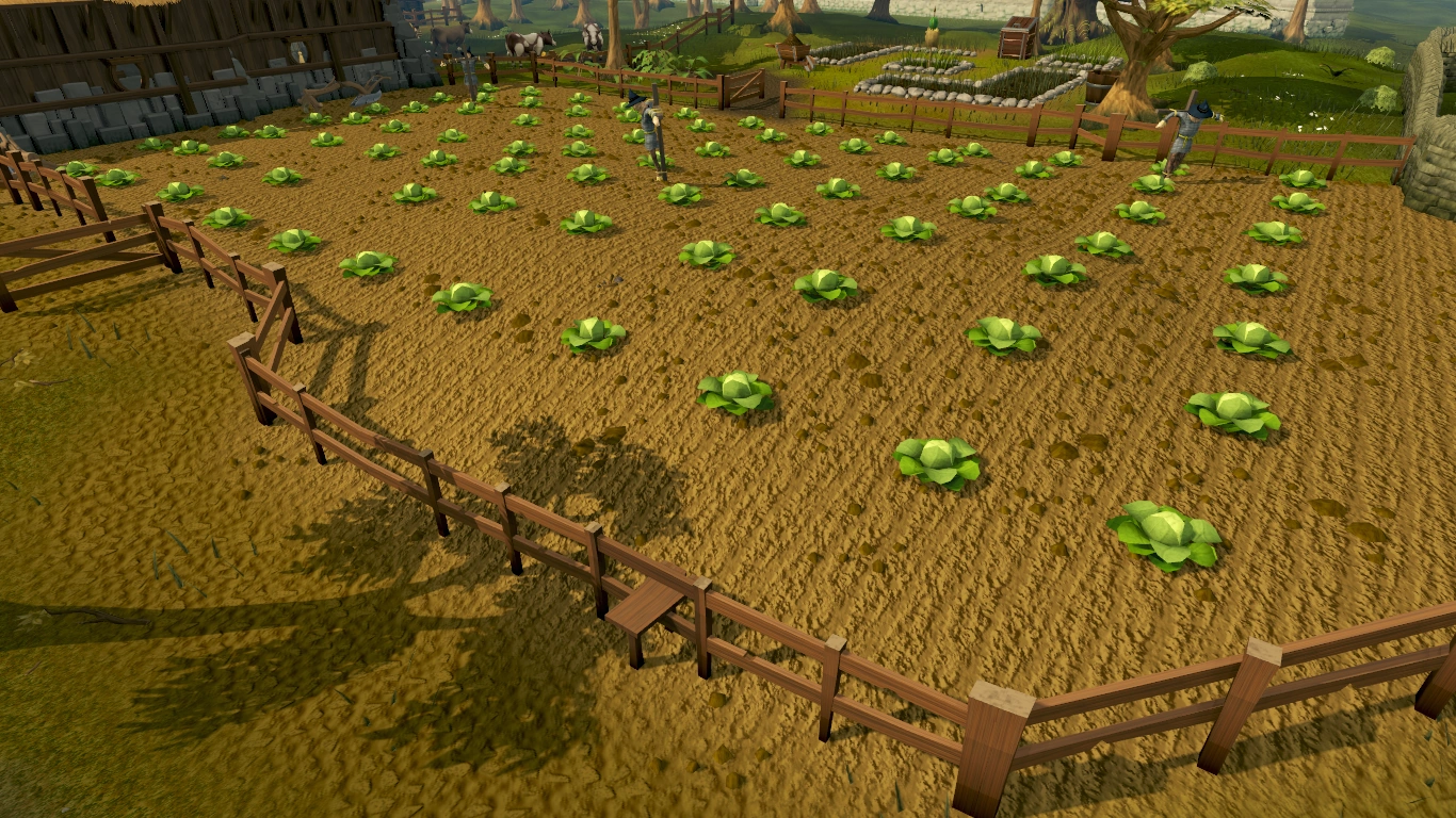 Falador cabbage patch | RuneScape Wiki | Fandom