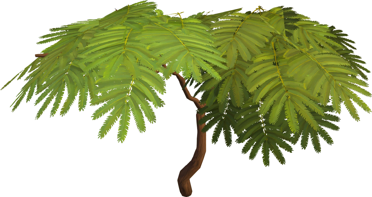 Acadia tree | RuneScape Wiki | Fandom
