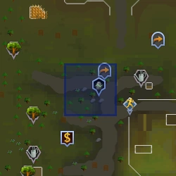 Familiarisation | RuneScape Wiki | FANDOM powered by Wikia