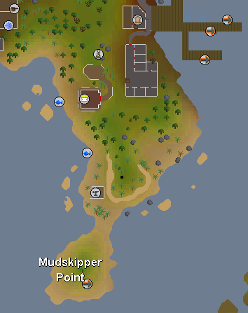 Mudskipper Point | RuneScape Wiki | FANDOM powered by Wikia