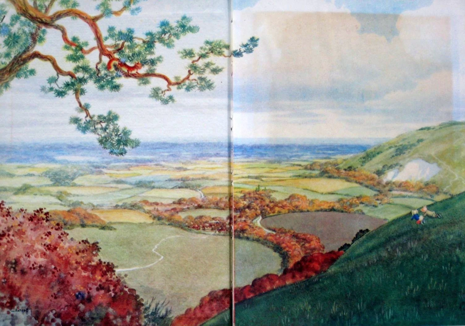 Nutwood | Rupert the Bear Wiki | Fandom