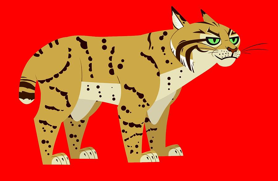 Bobcat Wild Kratts Ryans Funny Parts Wikia Fandom Powered By Wikia