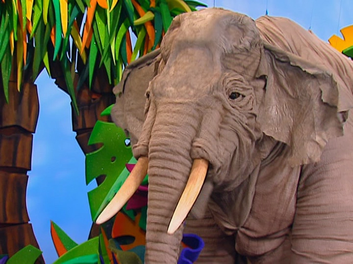Maxine the Indian Elephant | Ryan's Funny Parts Wikia | Fandom
