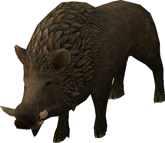 Boar | Saga Of Survival Wiki | Fandom