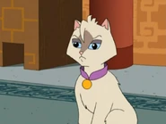 Dongwa Miao | Sagwa Wiki | Fandom