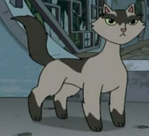 Jet Jet | Sagwa Wiki | FANDOM powered by Wikia