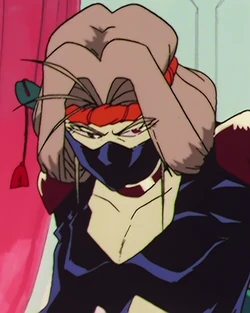 Ninjana | Sailor Moon Dub Wiki | Fandom