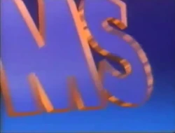 MSVT | Coverpédia Wiki | Fandom