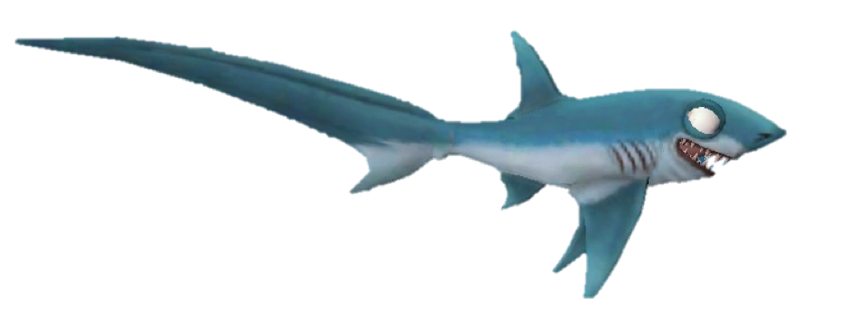 Thresher shark | Sam and zac Wiki | FANDOM powered by Wikia