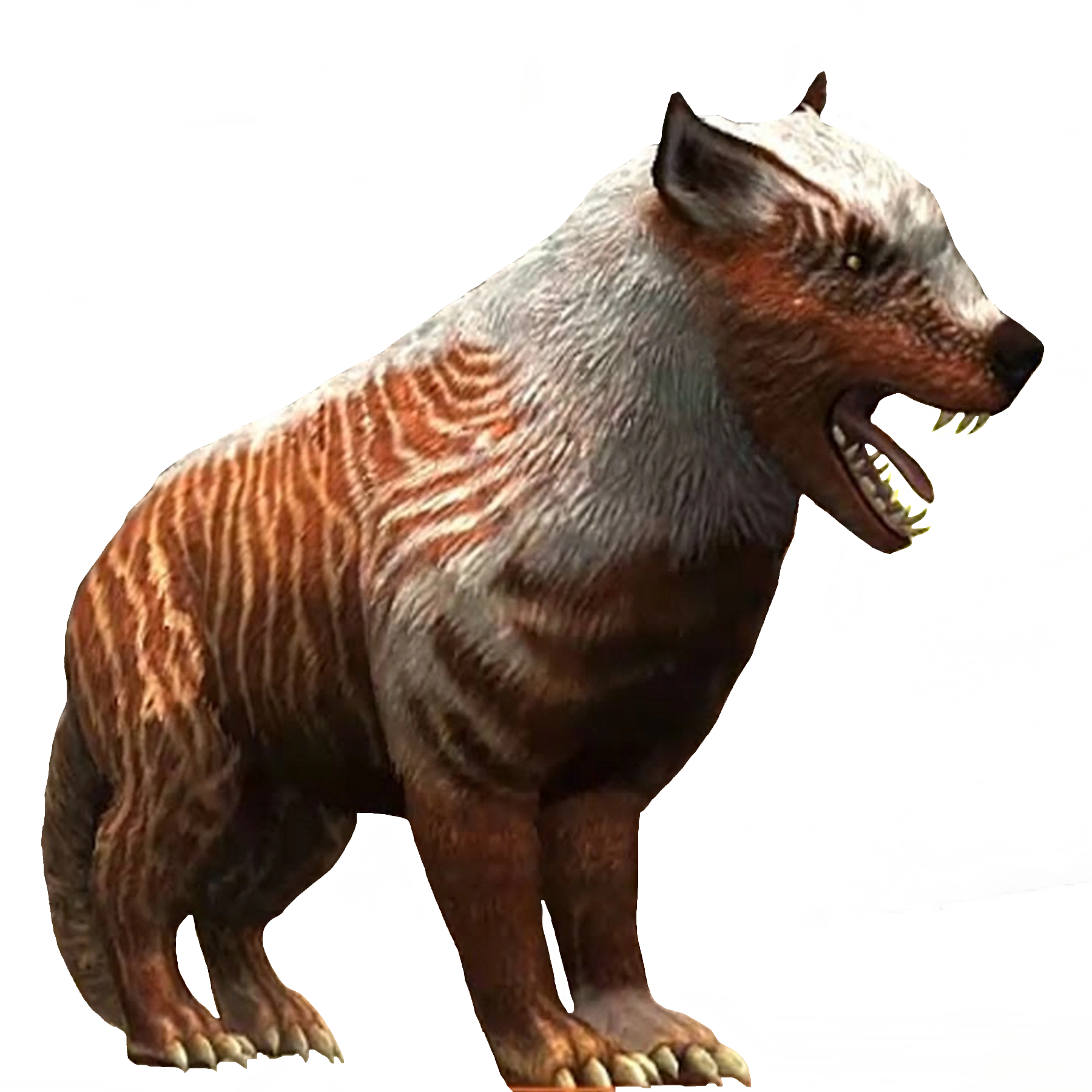 Amphicyon | Sam and zac Wiki | Fandom