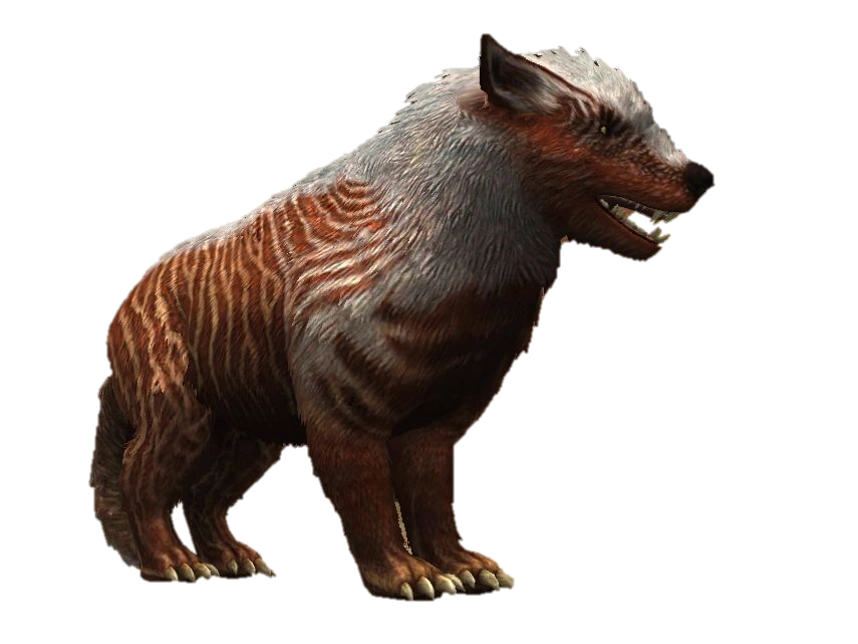 Amphicyon | Sam and zac Wiki | FANDOM powered by Wikia