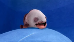 Jimbo | Sammy Wiki | Fandom