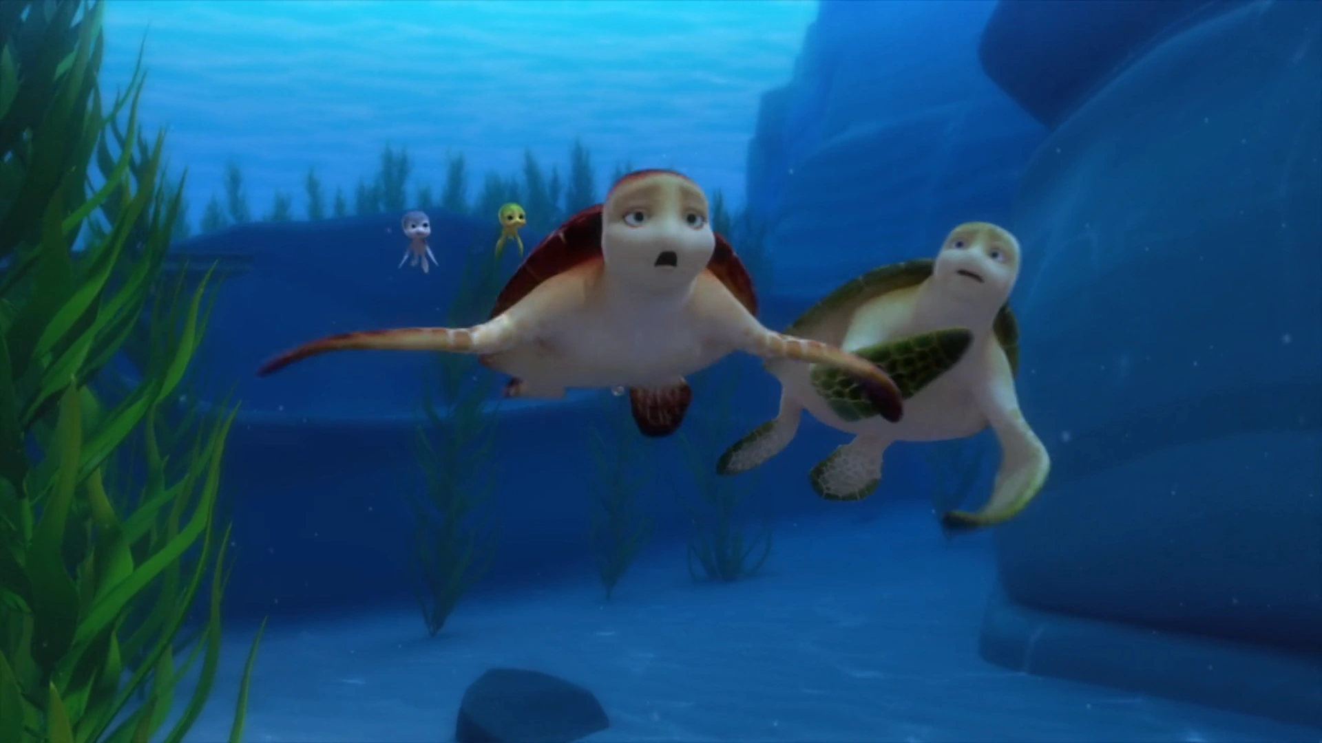 Coralia/Gallery | Sammy Wiki | Fandom