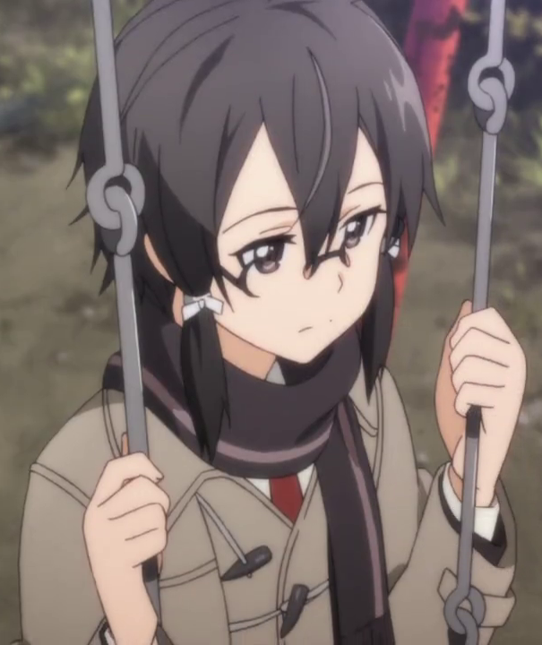 Asada Shino Sword Art Online Wiki Fandom Powered By Wikia