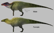 Anatosaurus | Saurian Wikia | FANDOM powered by Wikia