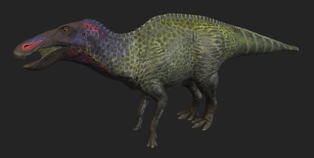 Anatosaurus Saurian Wikia Fandom Powered By Wikia