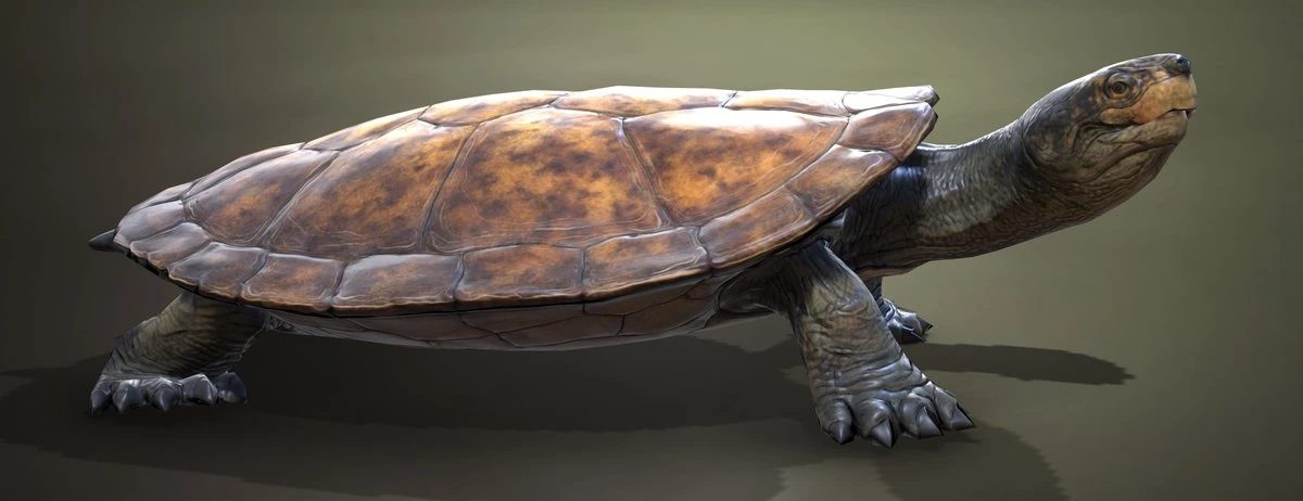 Basilemys | Saurian Wikia | Fandom