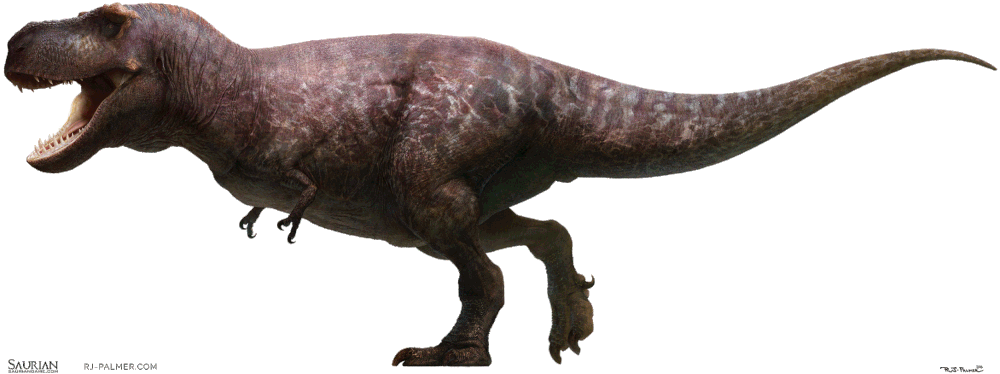 Image Rjpalmer Newrex 002 Saurian Wikia Fandom Powered By Wikia
