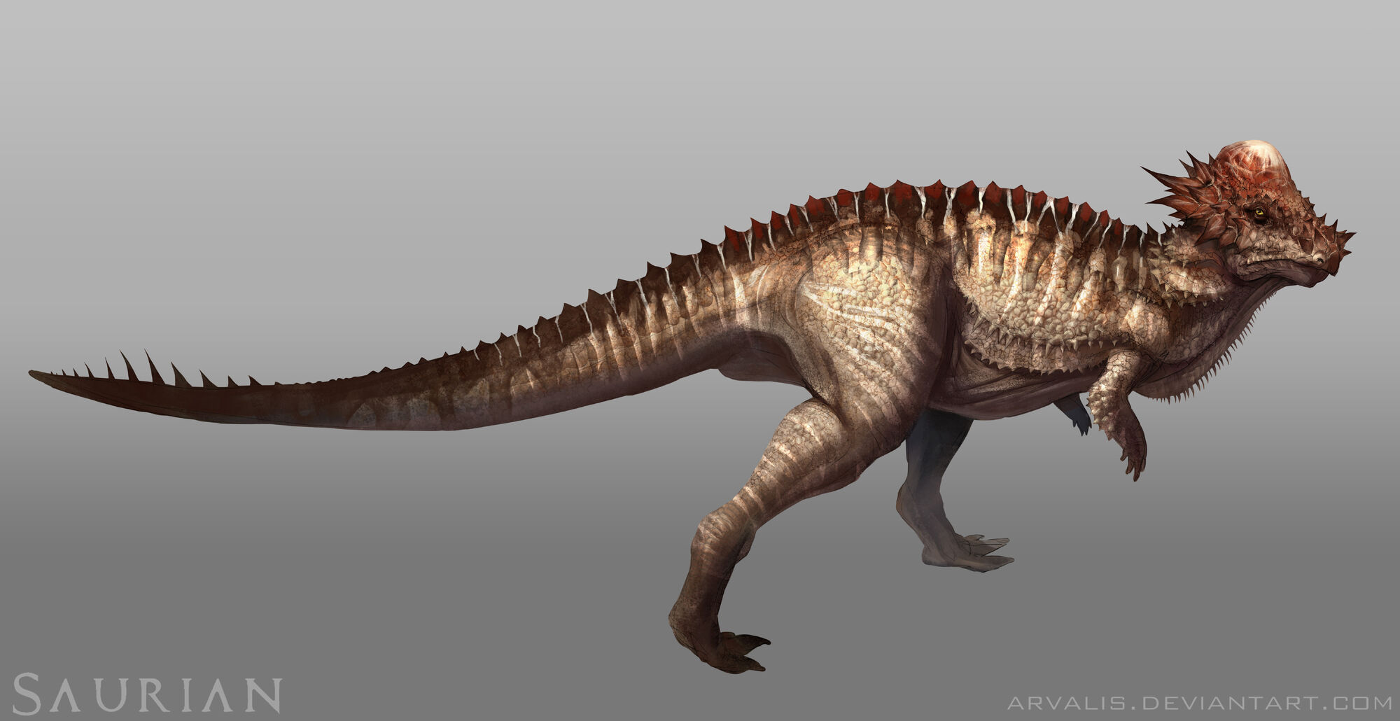 Pachycephalosaurus/Gallery | Saurian Wikia | FANDOM powered by Wikia Pachycephalosaurus/Gallery | Saurian Wikia | FANDOM powered by Wikia