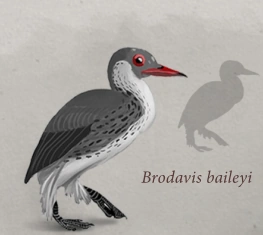 Brodavis | Saurian Wikia | Fandom