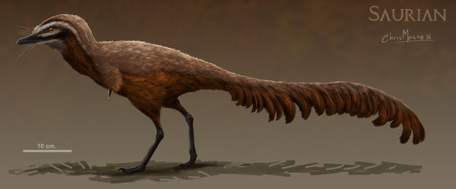 Hell Creek Alvarezsaur Saurian Wikia Fandom Powered By Wikia